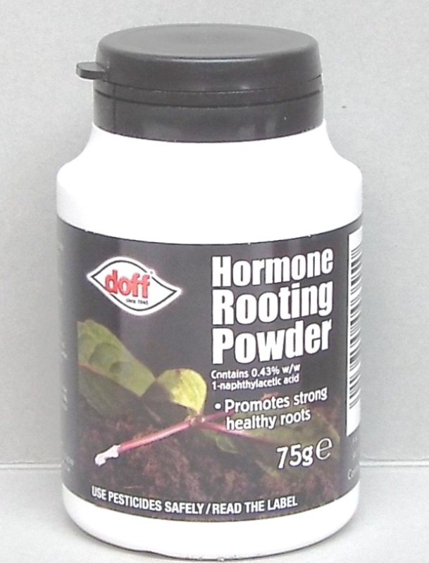 HORMONE ROOTING POWDER